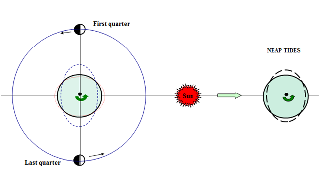 Tidal Science explained | Tide and Time