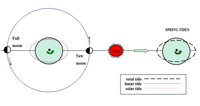 Tidal Science explained | Tide and Time